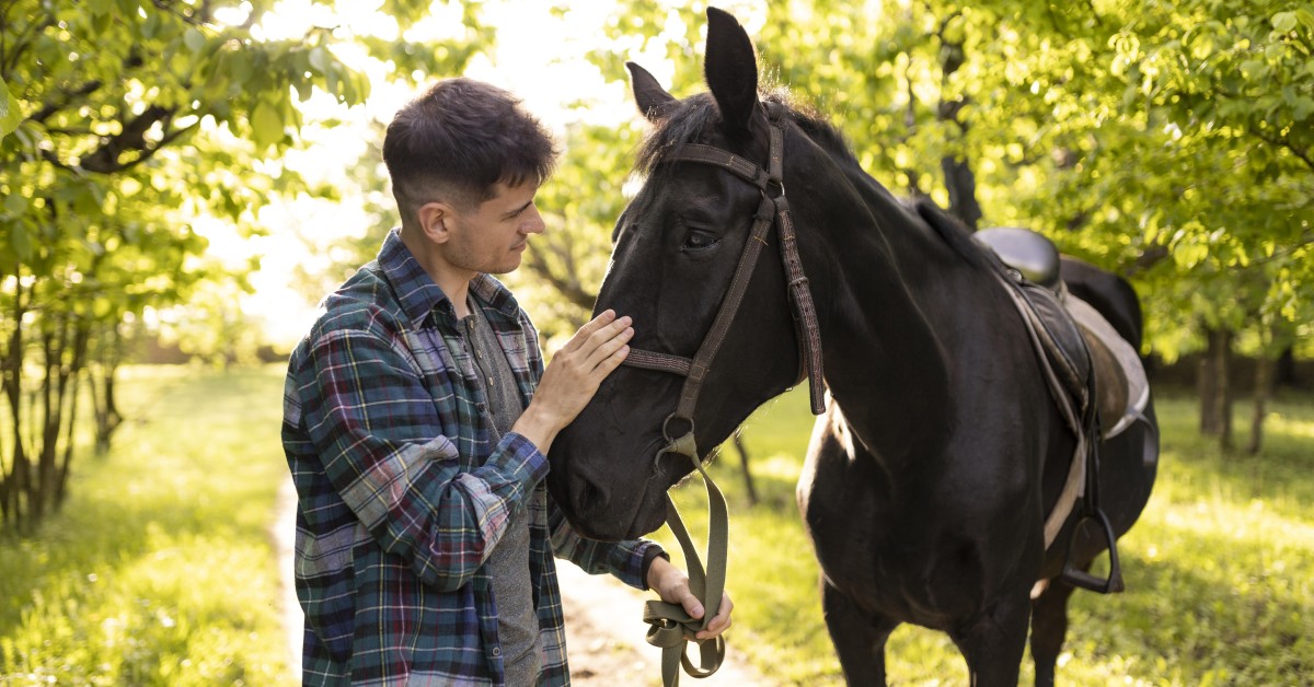 Understanding Horse Behavior | Keys to Effective Communication