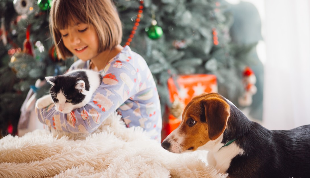 Keep Your Home Smelling Fresh This Holiday Season | Pet Owner Tips