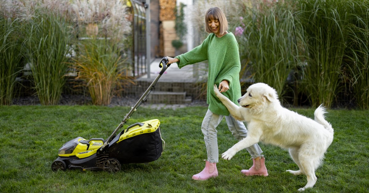 Keep Your Pets Safe With Spring Yard Cleanup