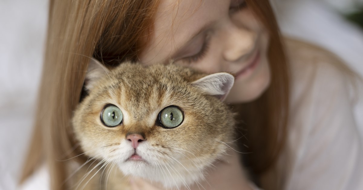 How Cats See | Tips on Caring for Your Cat’s Eyes and Vision